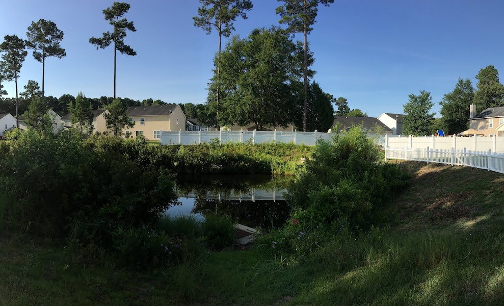 Lagoon Bank Inspections – Pine Ridge POA